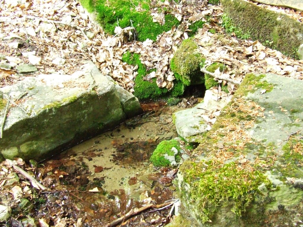 Pınar, çay Родник Олений, Kırım Cumhuriyeti, foto