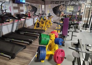 Адреналин (Rostov Region, Myasnikovskiy rayon, selo Chaltyr, ulitsa Mikoyana), fitness kulüpleri  Rostovskaya oblastından