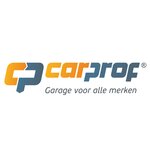 Autobedrijf Te Grotenhuis Woudenberg CarProf (Stationsweg West No:93, Woudenberg), i̇kinci el araç  Utrecht eyaletinden