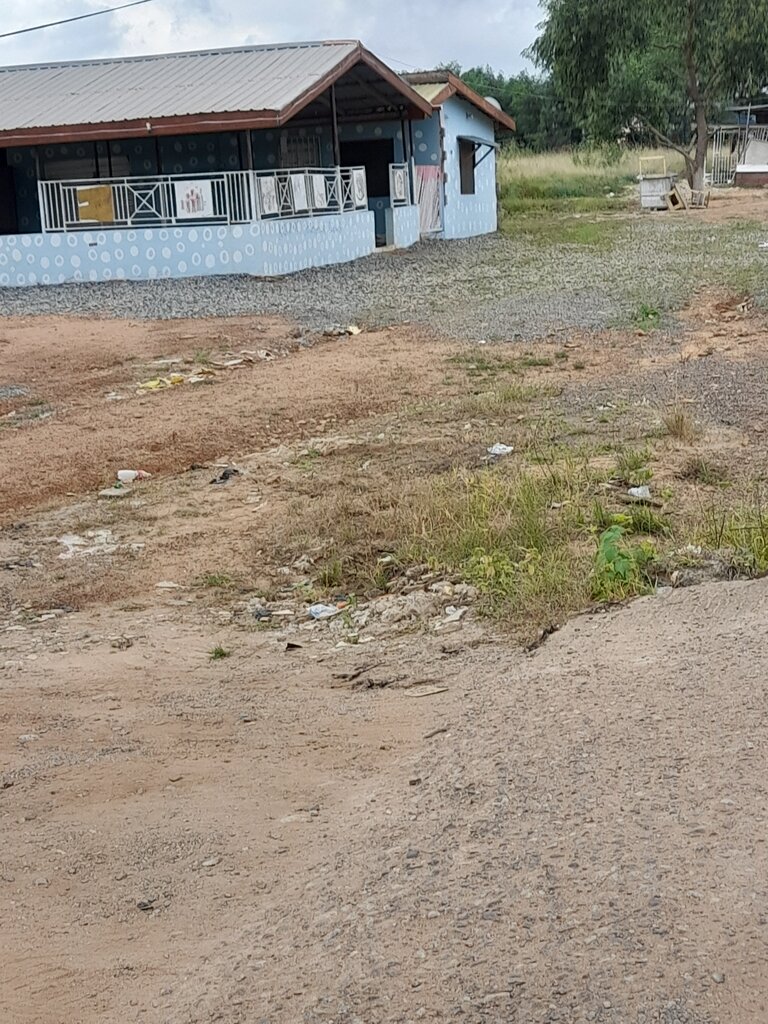 Bar Lindys Inn, Dünya, foto