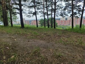 Место для пикника (Novosibirsk, Oktyabrskiy City Administrative District), piknik alanı  Novosibirsk'ten