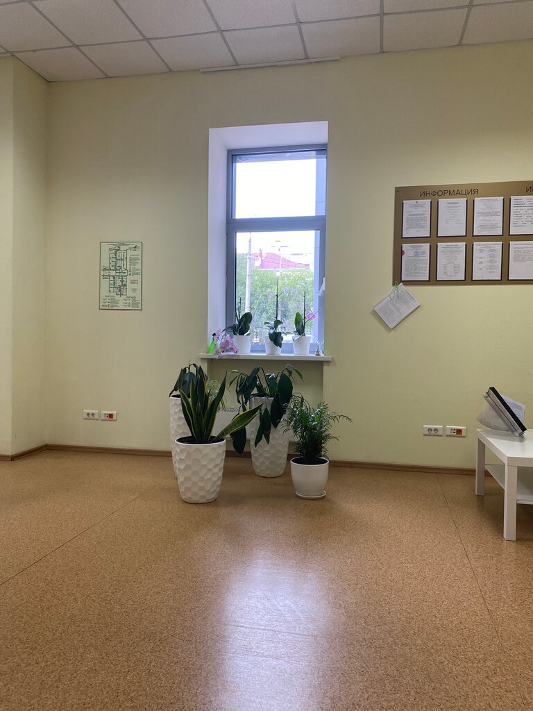 Noterler E. A. Velmezeva'nın noter ofisi, Tolyatti (Togliatti), foto