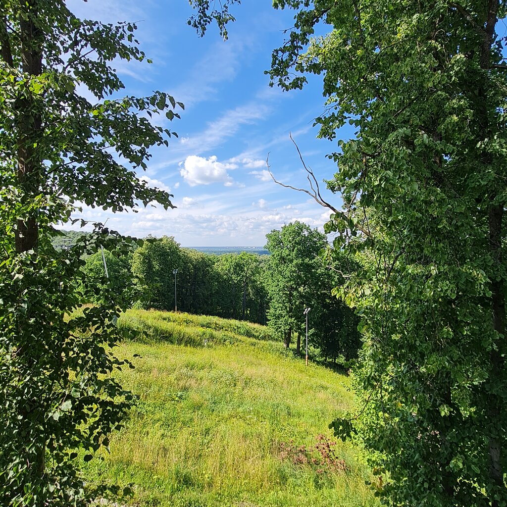 Seyir terası Смотровая площадка, Briansk, foto