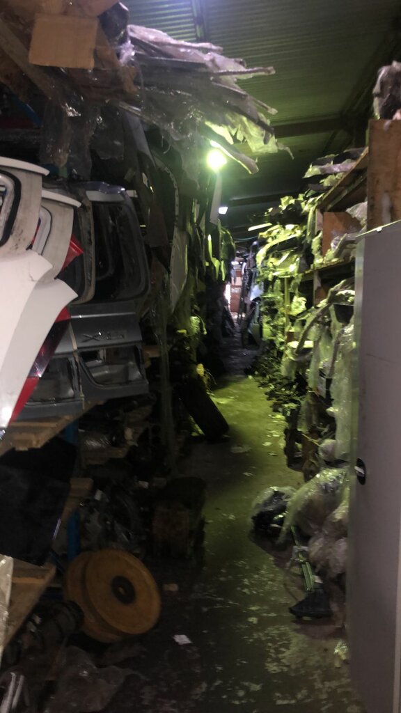 Otomobil yedek parçaları RazborRF, Moskova, foto