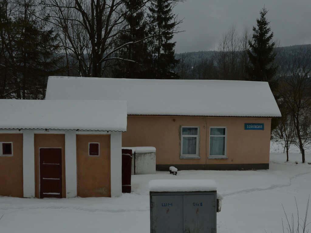 Tren istasyonu станция Бойковская, Lvivska oblastı, foto