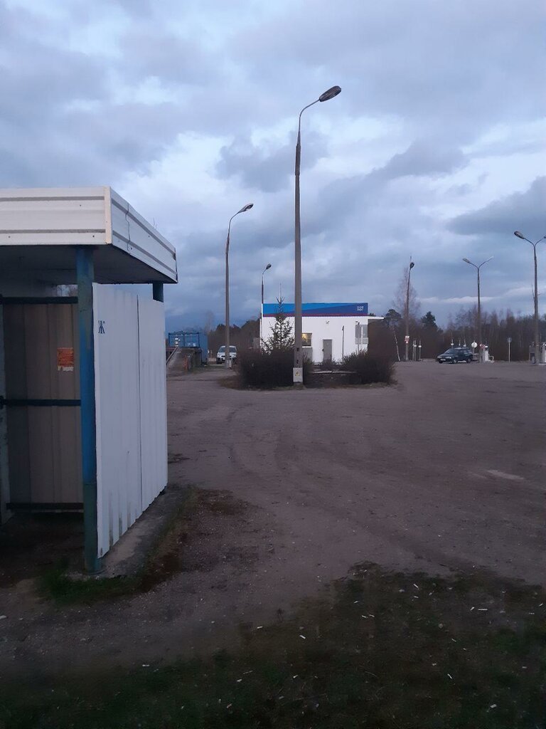 Benzin istasyonu Pskovnefteprodukt, Pskovskaya oblastı, foto
