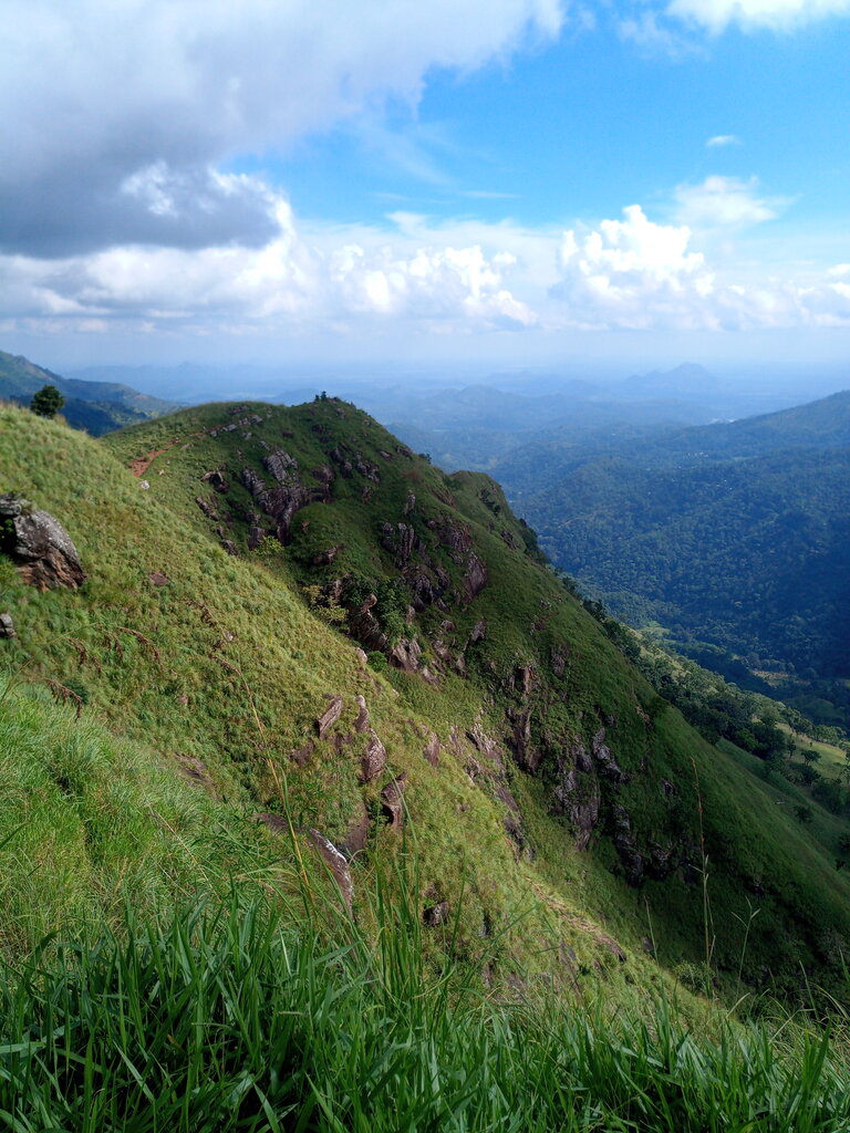 Dağ zirvesi Pidurutalagala 2524 meters, , foto