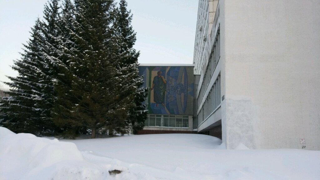 Dekorasyon ve süsleme, onur panosu Мозаика Mens sana in corpore sano, Novosibirsk, foto