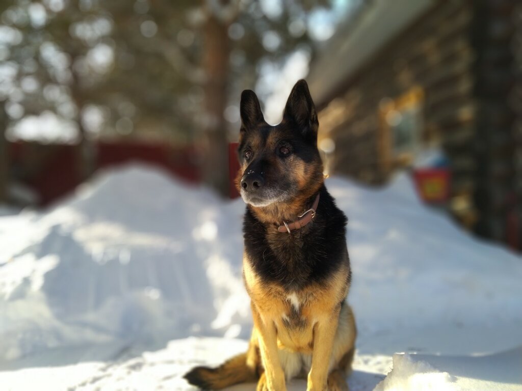Veteriner klinikleri VetZooTsentr, Tiumen, foto
