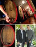 Tenuta Hans Rottensteiner Weingut (Trentino-Alto Adige, Bolzano, Via Sarentino, 1), şarap ve içki toptan satışları  Bolzano'dan