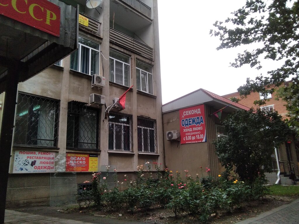 Terziler Баклажан, Slaviansk‑na‑Kubani, foto