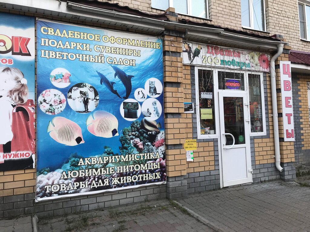 Çiçekçiler Магазин цветов, Shumerlya, foto