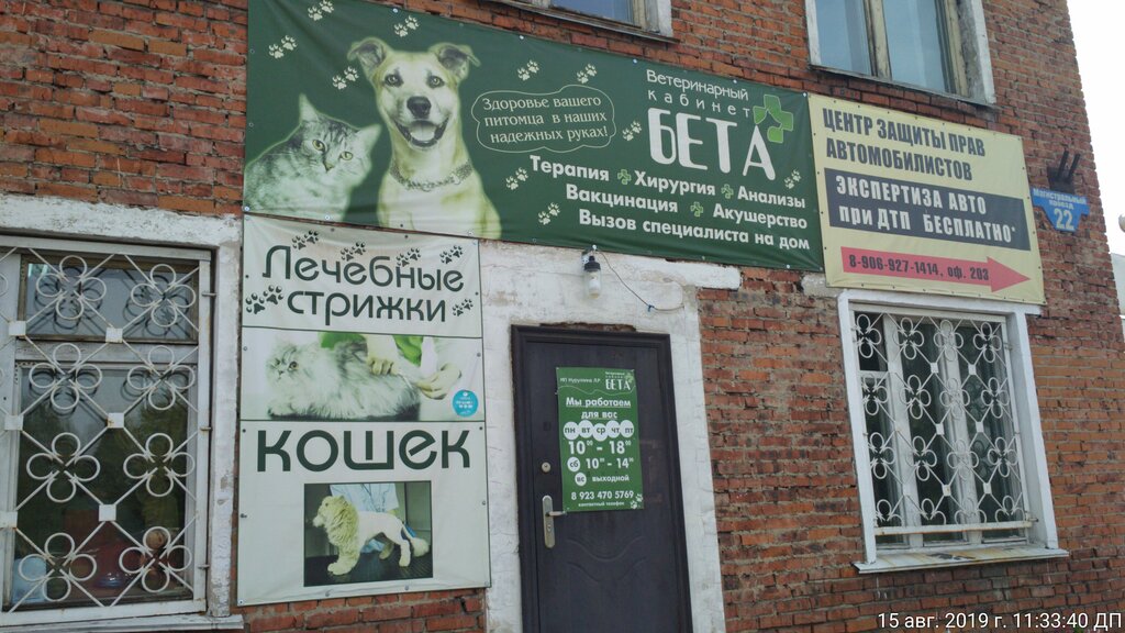 Veteriner klinikleri Beta, Osinniki, foto