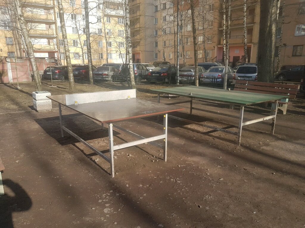 Spor alanı Столы для настольного тенниса, Saint‑Petersburg, foto