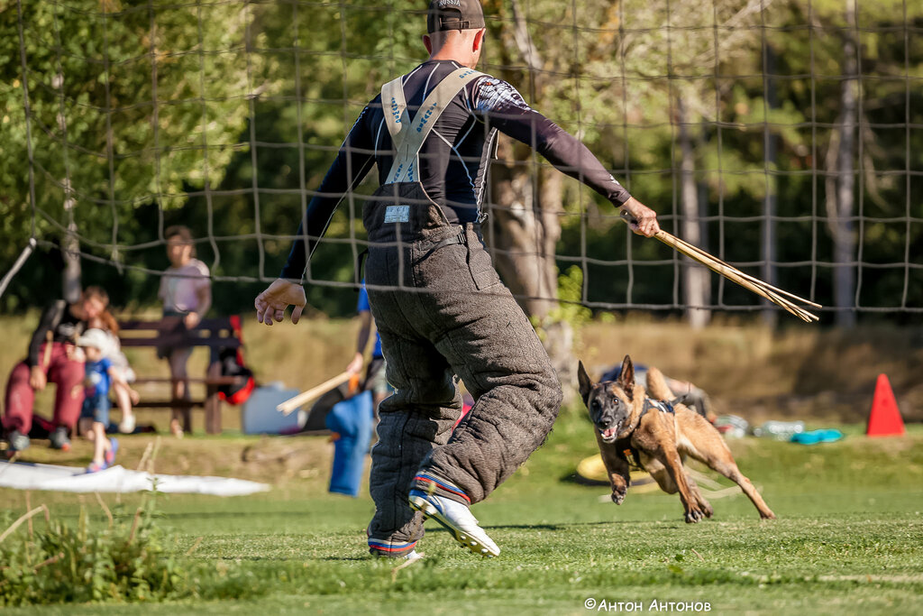 Hayvanat bahçesi merkezi K-92, Sevastopol, foto