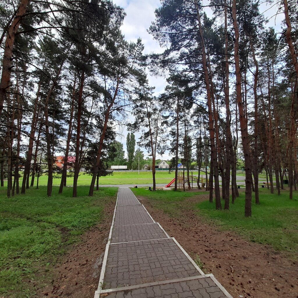 Oyun alanı Children's play halls and playgrounds, Belgorodskaya oblastı, foto