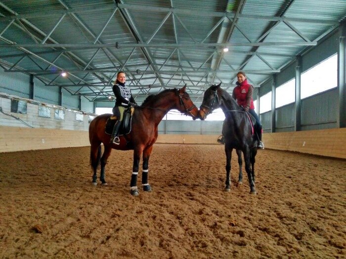 At ve binicilik kulüpleri Mir vyezdki, Moskova ve Moskovskaya oblastı, foto
