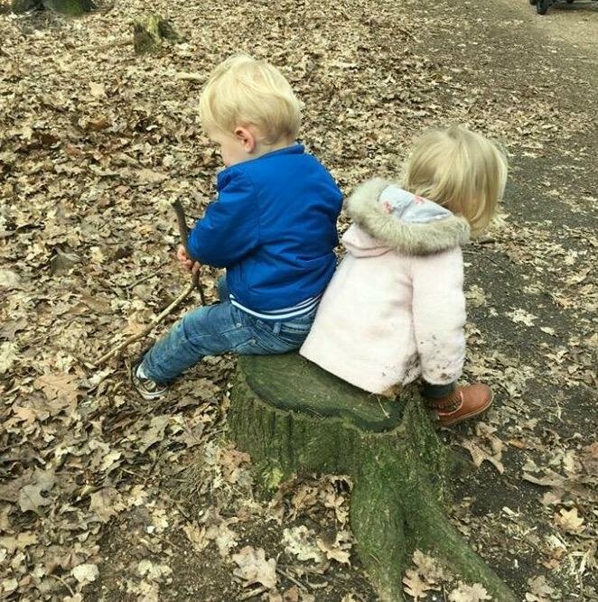 Anaokulları Humankind - Kinderdagverblijf Breebosch, Dünya, foto