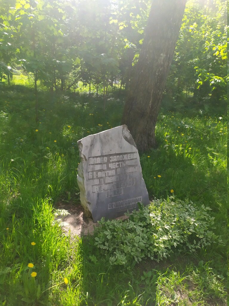 Anıt levhası, anıt taş Памятный камень в честь заложения Аллеи Славы, Tula, foto