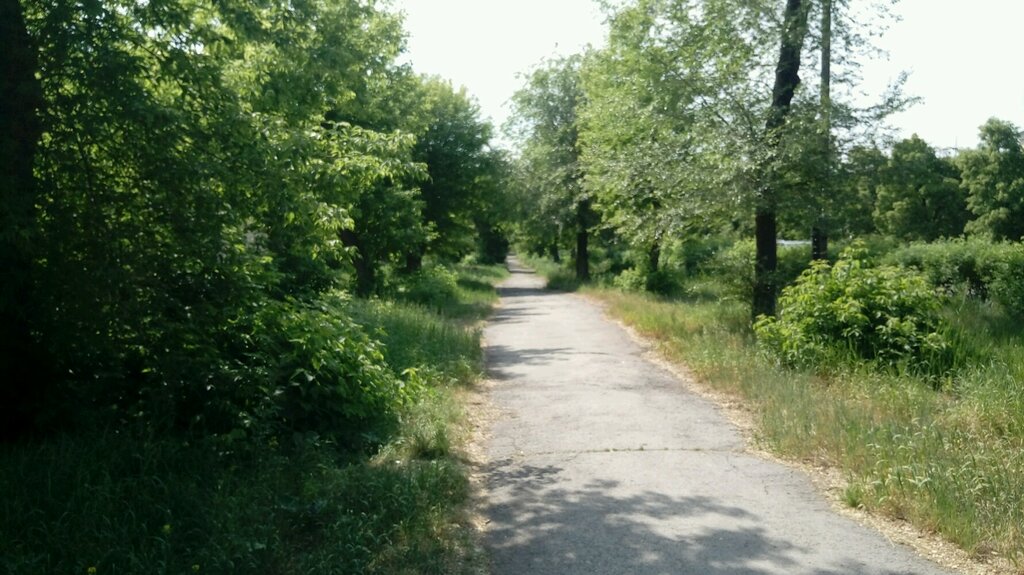 Kültür ve eğlence parkları сквер имени Владимира Владимировича Маяковского, Magnitogorsk, foto