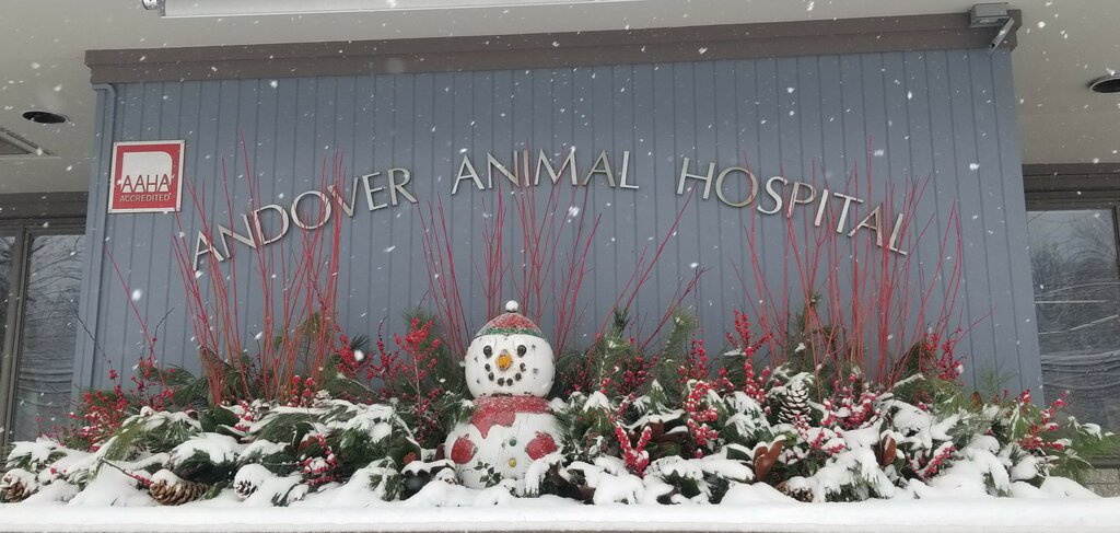 Evcil hayvan kuaförleri Andover Animal Hospital, Massachusetts, foto