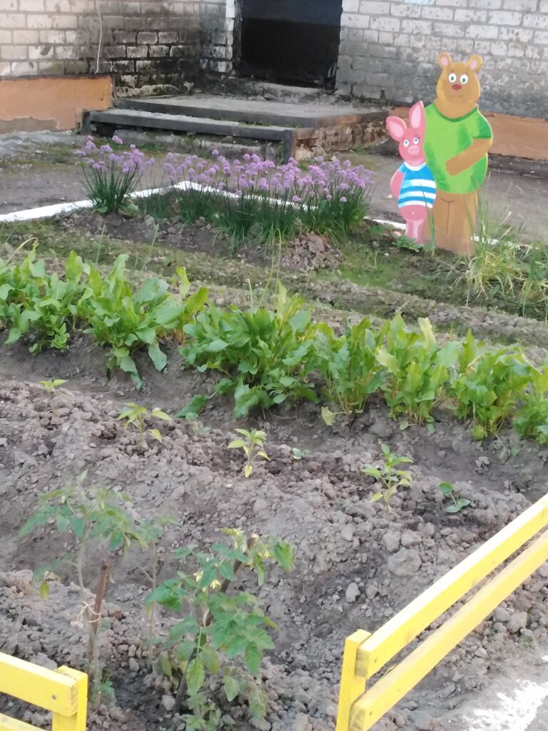 Anaokulları Detsky sad № 41, Solnyshko, Smolensk, foto