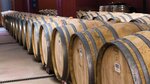 Cantina Sociale Colli Fiorentini (Tuscany, province of Florence, Via Virginio Nuova), market
