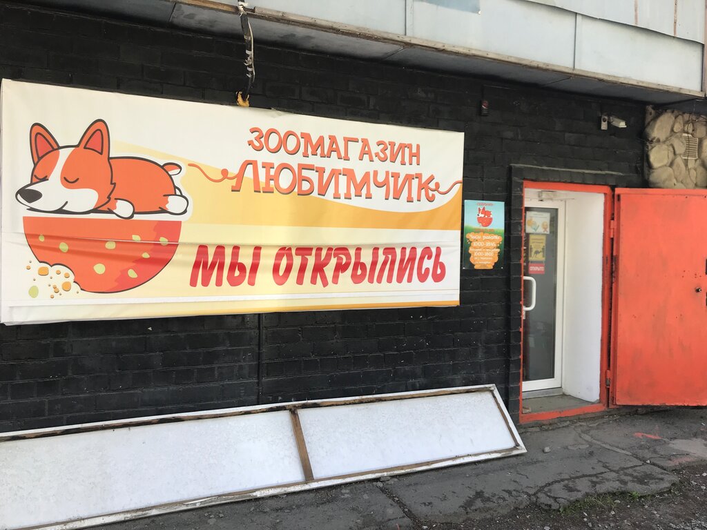 Petshop Любимчик, Artem, foto