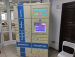 Ozon box (Festivalnaya Street No:46к1), parsel otomatı  Moskova'dan