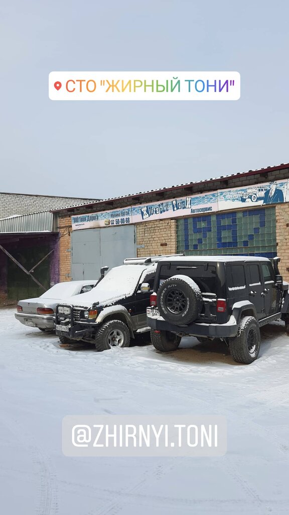 Otomobil servisi Sto Zhirnyi Toni, Blagoveshchensk, foto