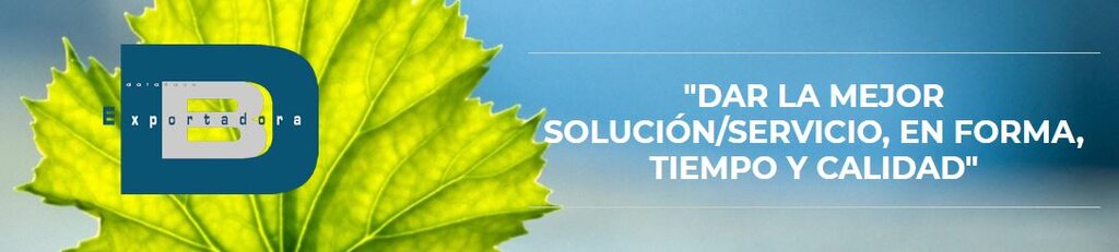 i̇nternet hizmet sağlayıcıları Exportadora Data Base S. A., Madrid, foto