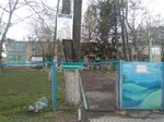 School of the Arts (strada Chisinau No:75, Bender), sanat okulları  Bender'den