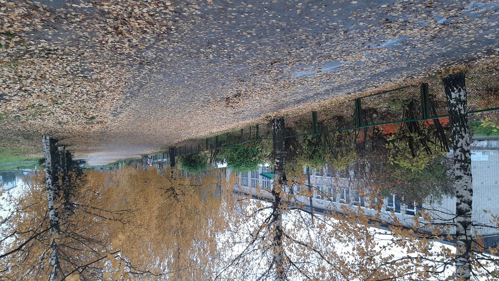 Lise Лицей № 1, Manturovo, foto