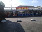 Ромашка (Tula Region, Novomoskovsk, Trudovye Rezervy Street), çiçekçiler  Novomoskovsk'tan