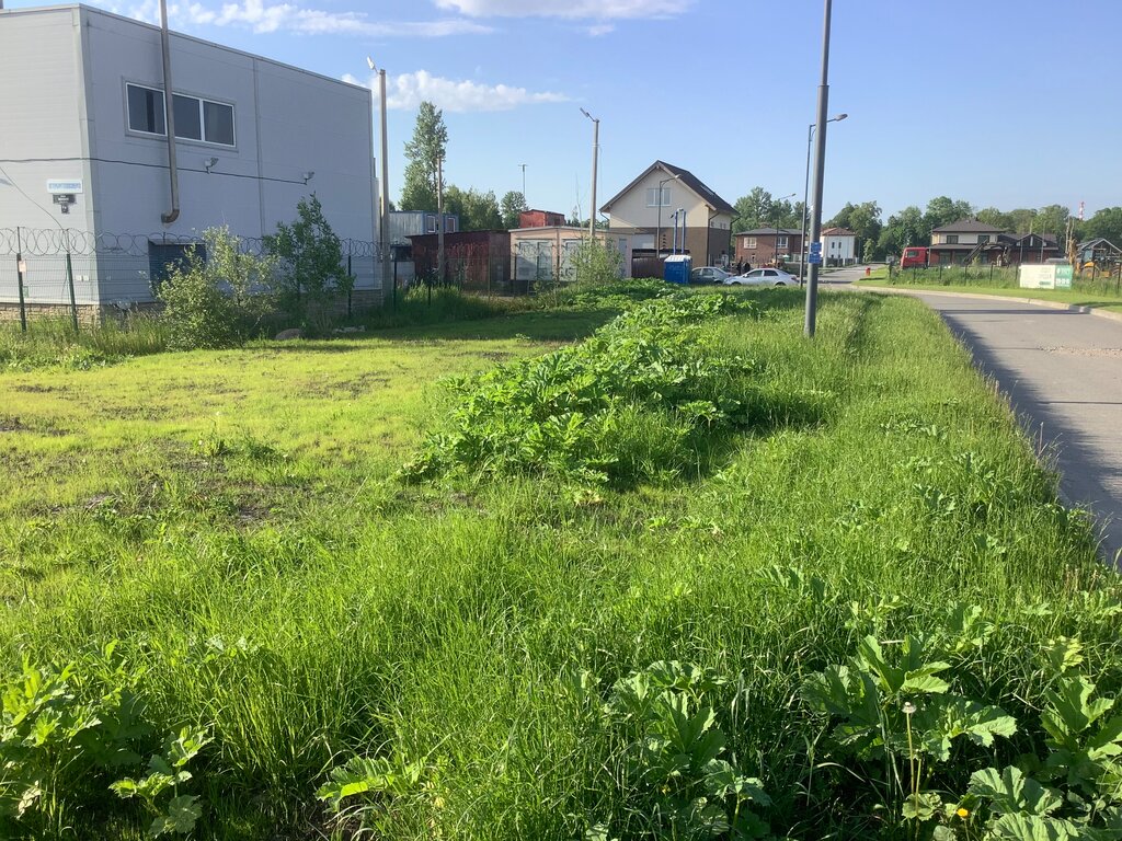 Yazlık ev inşaatı Sad vremeni, ofis prodazh, Peterhof, foto