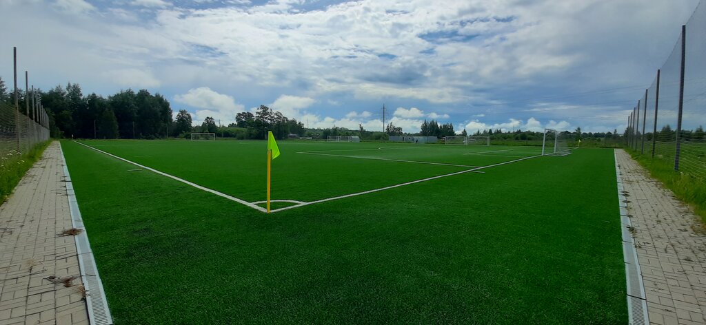 Spor alanı Футбольное поле, Yaroslavskaya oblastı, foto