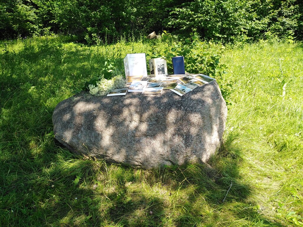 Anıt levhası, anıt taş Памятный камень в честь М.Ю. Лермонтова, Penzenskaya oblastı, foto
