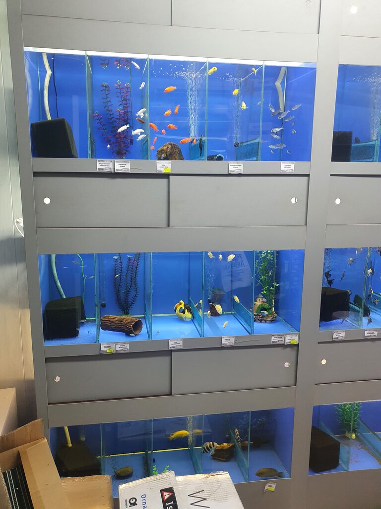 Petshop Зоомагазин Немо, Briansk, foto