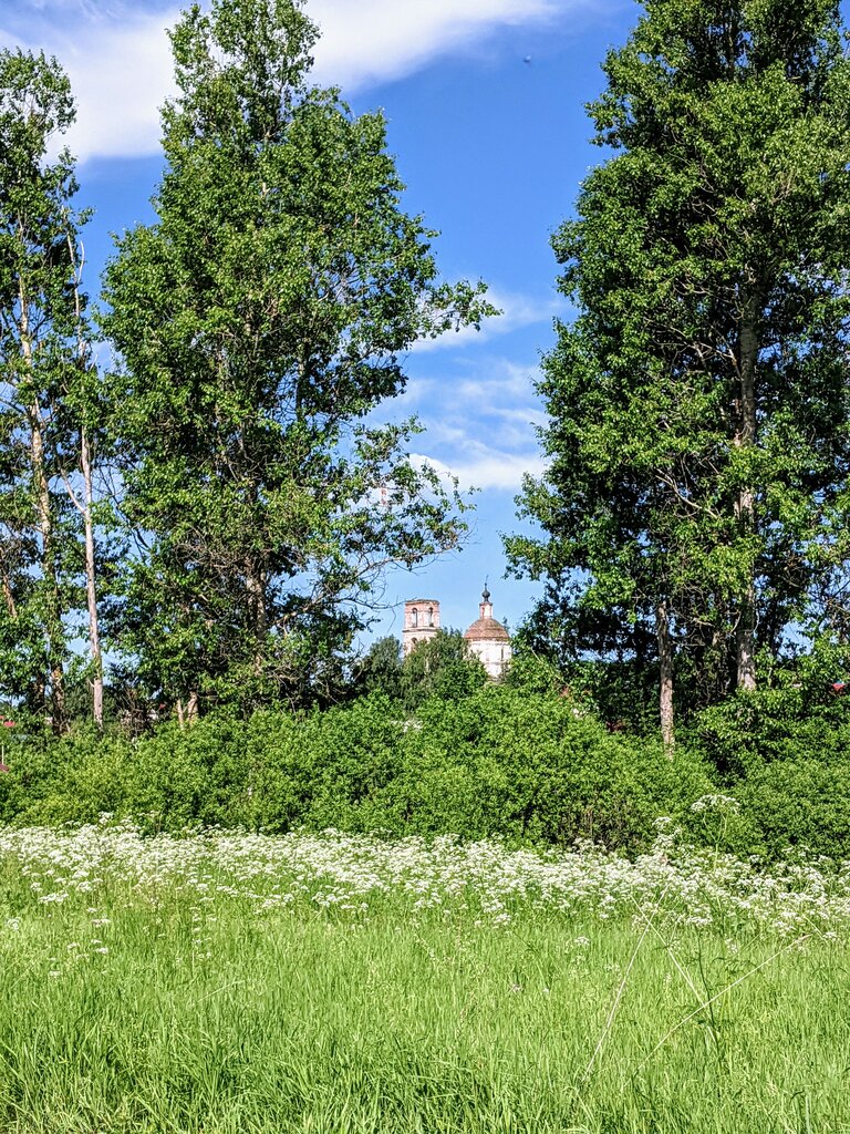 Ortodoks kiliseleri Церковь Троицы Живоначальной, Nijegorodskaya oblastı, foto