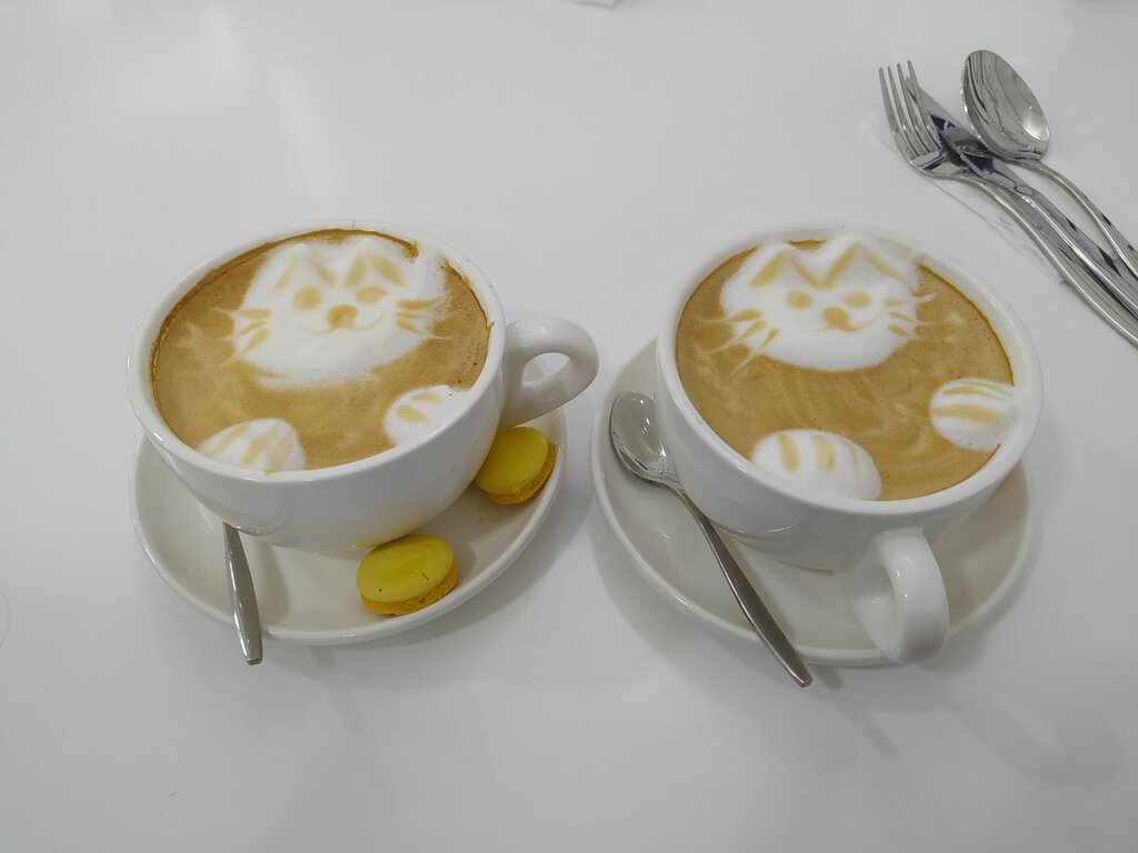 Kahve dükkanları 2d Cafe, Taşkent, foto