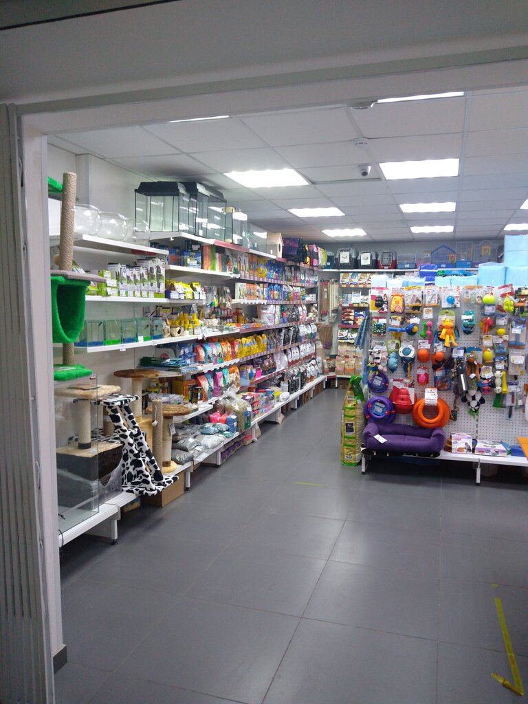 Petshop Зоодом, Yekaterinburg, foto