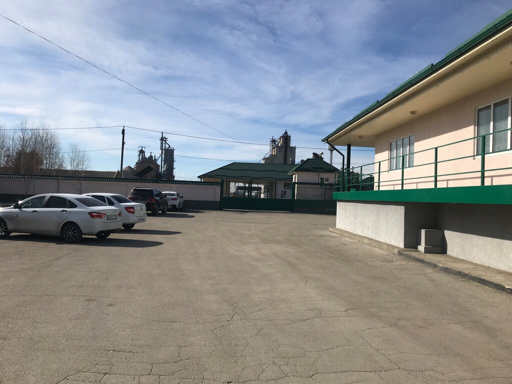 Tohum üretimi Элеватор, Minsk, foto