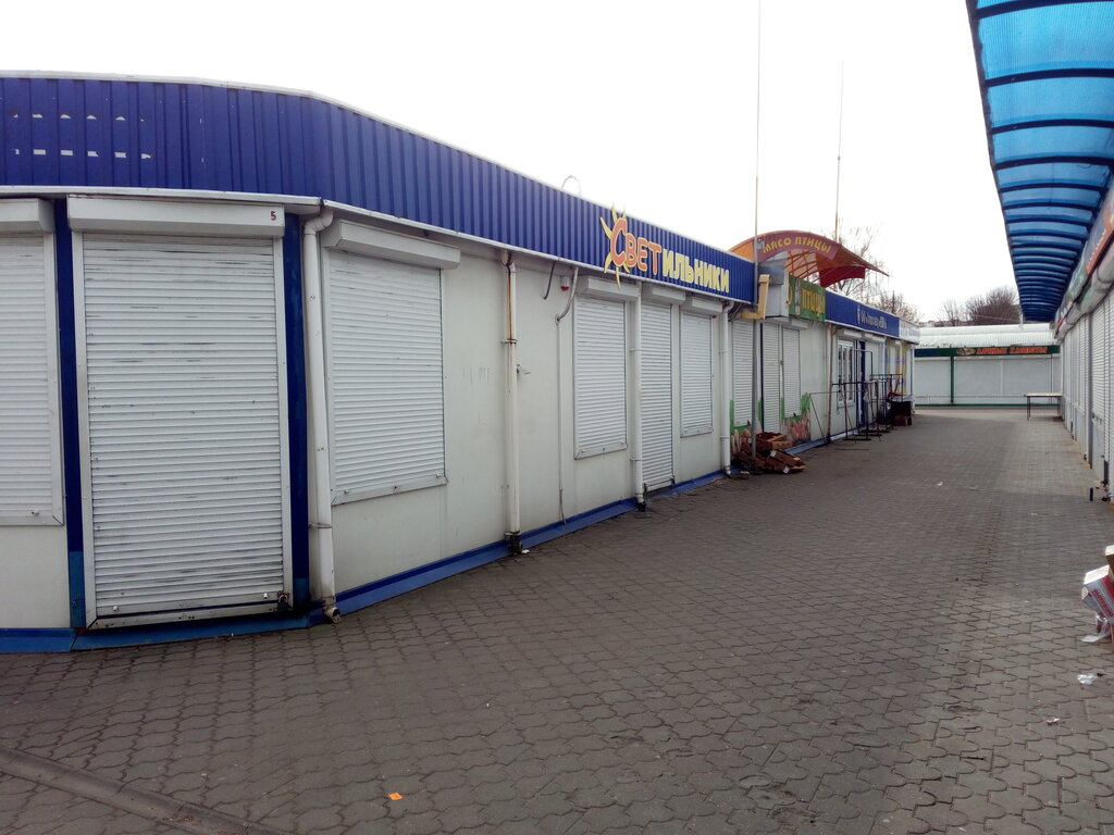 Kanatlı hayvan ürünleri ve yumurta Мясо птицы, Lida, foto