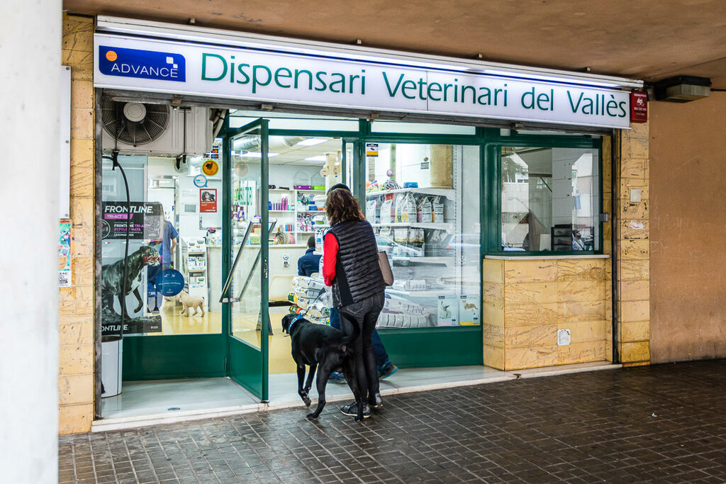 Veteriner klinikleri Dispensari Veterinari Del Vallés, Katalonya, foto