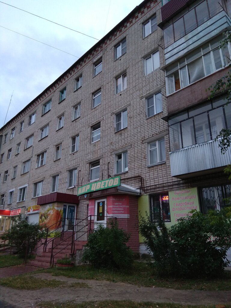 Çiçekçiler Мир цветов, Vyksa, foto