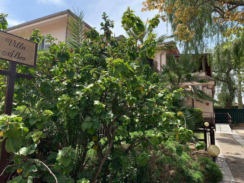 Huzurevi, bakımevi Casa di Riposo Villa Altea Residenza per Anziani, Palermo, foto