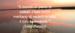 Oculista Pucino Dr. Luigi Correzione Difetti Visivi Miopia (Viale Bonaini No:48, Pisa), optik cihazlar ve ekipmanlar  Pisa'dan