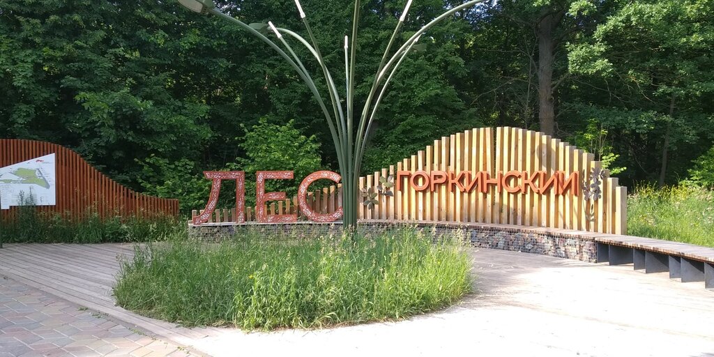 Orman Gorkinskii Forest, Kazan, foto