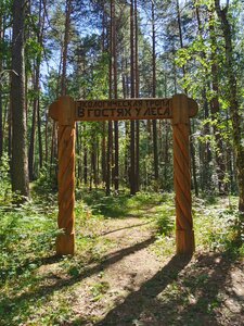 национальный парк Припышминские Боры (Sverdlovsk Region, Talitskiy munitsipalny okrug, natsionalny park Pripyshminskiye Bory), doğa koruma alanı  Sverdlovskaya oblastından