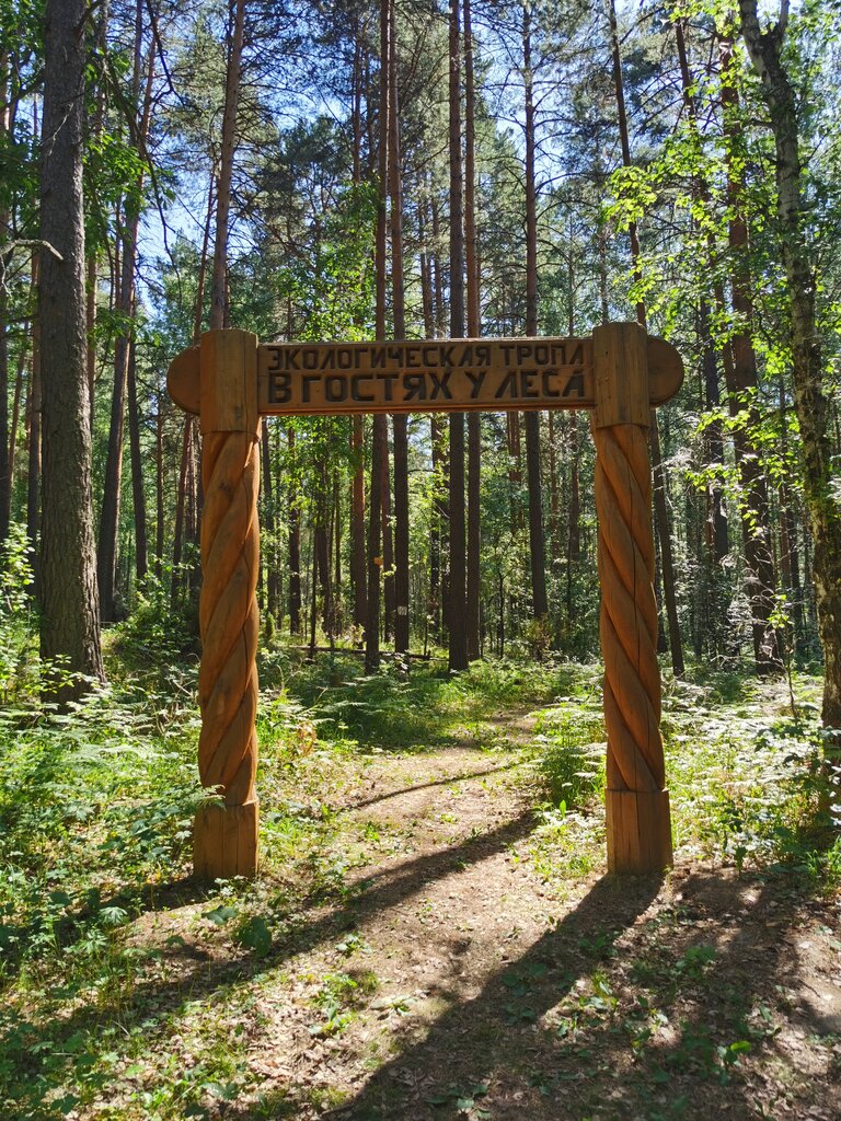Doğa koruma alanı национальный парк Припышминские Боры, Sverdlovskaya oblastı, foto